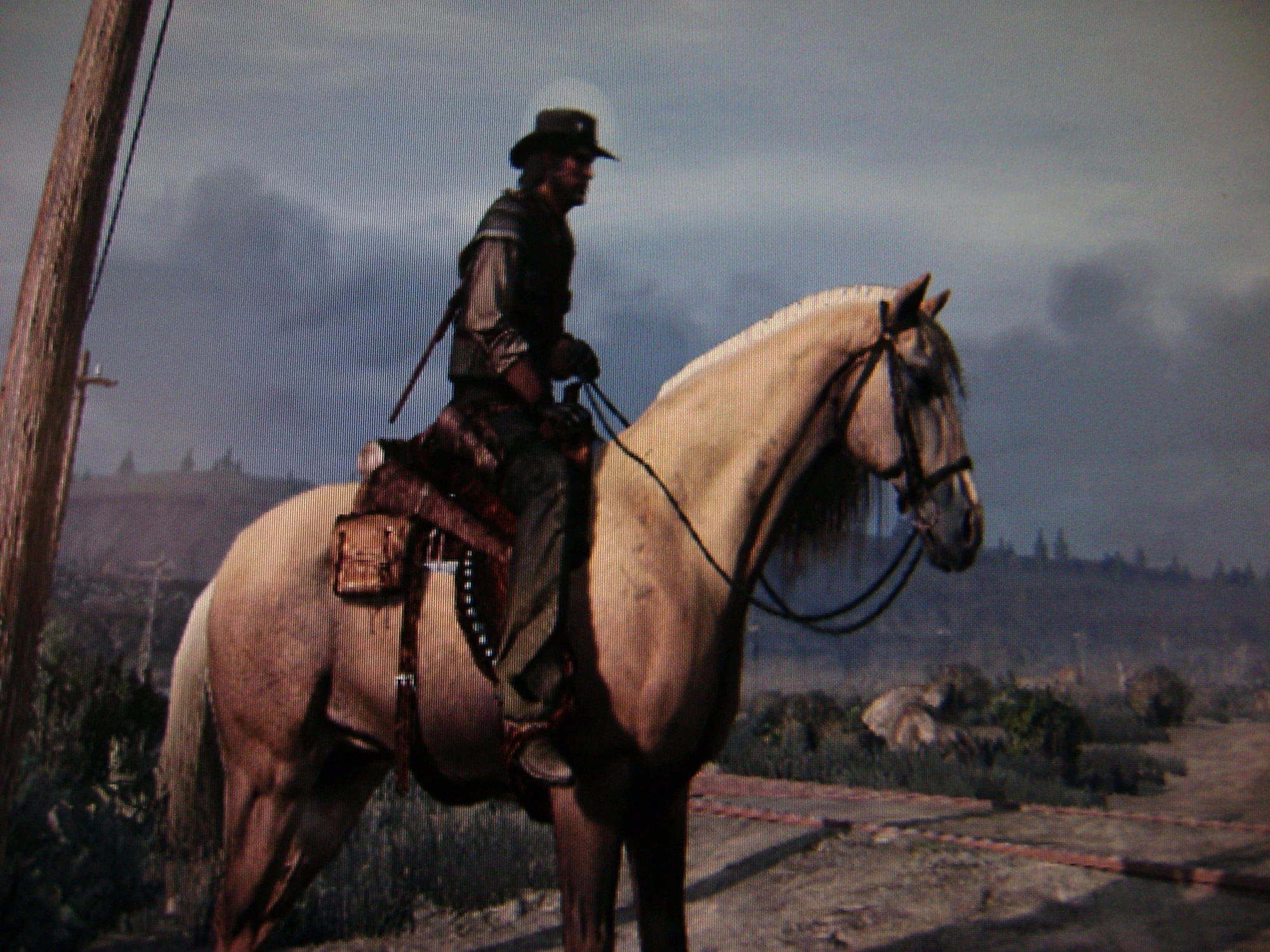 Kentucky Saddler | Red Dead Redemption Wiki | Fandom powered by Wikia