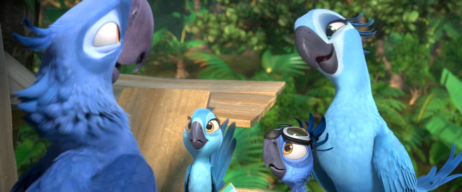 Image - Blu 100-Jewel 100 66.png | Rio Wiki | Fandom powered by Wikia