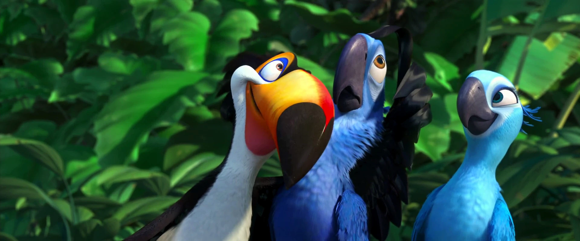 Image - Rafael, Blu and Jewel 2.jpg | Rio Wiki | Fandom powered by Wikia