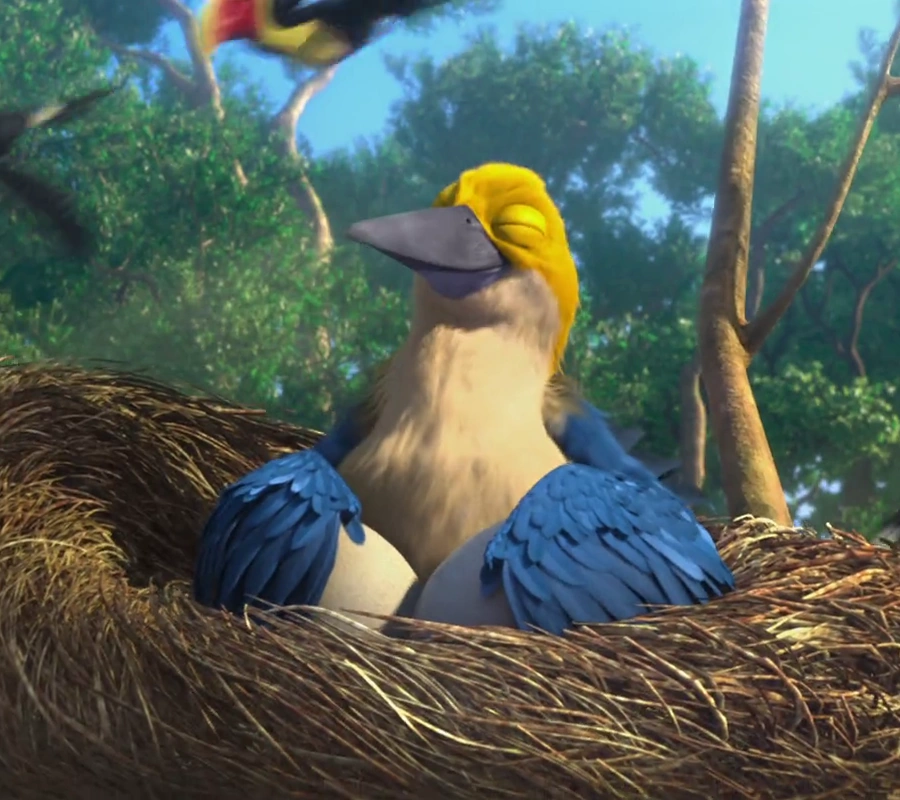 Image - Blue-yellow-white bird.png | Rio Wiki | Fandom powered by Wikia