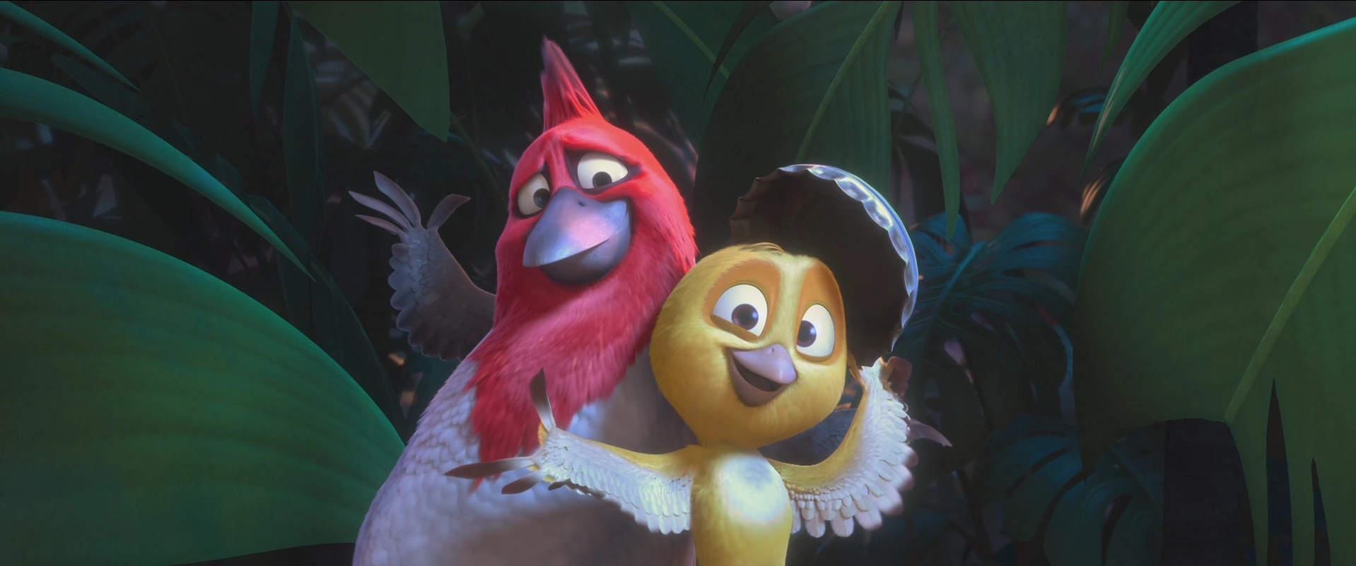 Nico Rio Wiki Fandom Powered By Wikia