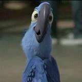 Blu | Wiki Río | FANDOM powered by Wikia