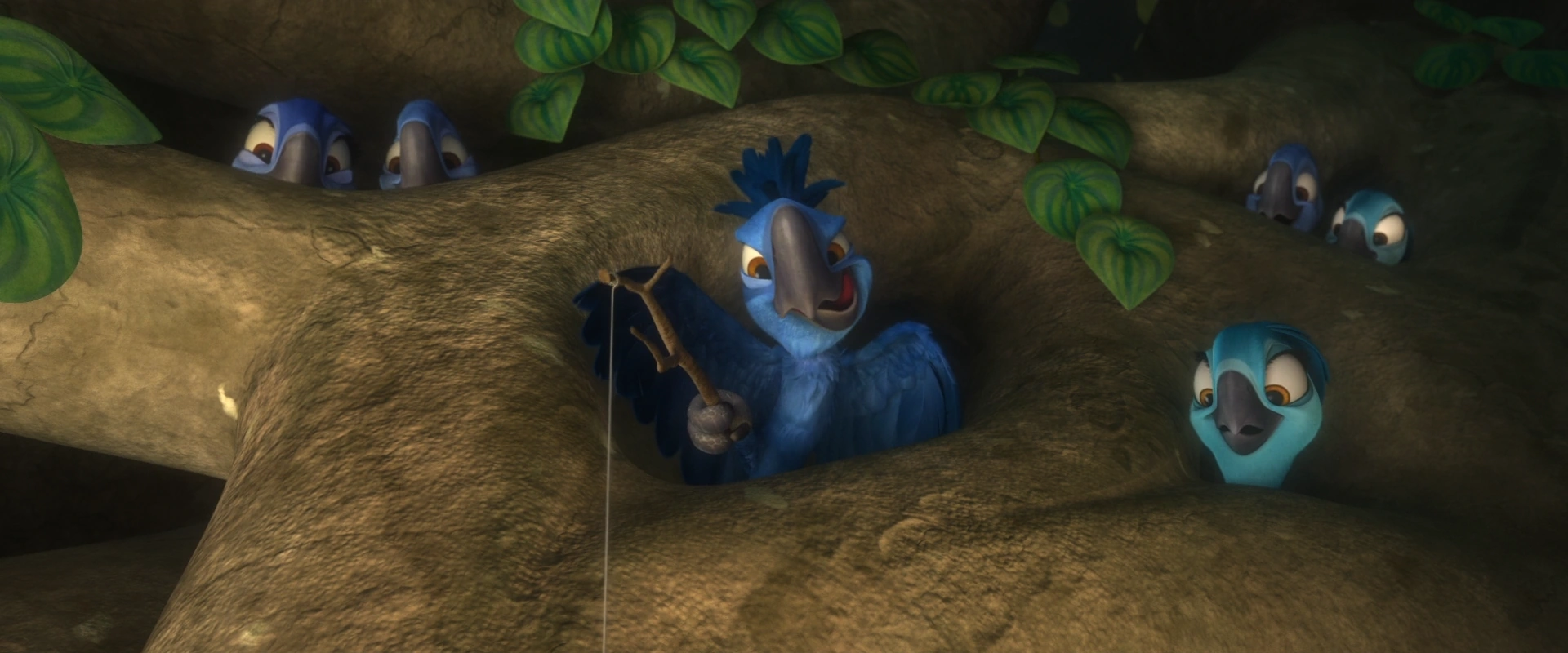 Kid Macaws | Rio Wiki | FANDOM powered by Wikia