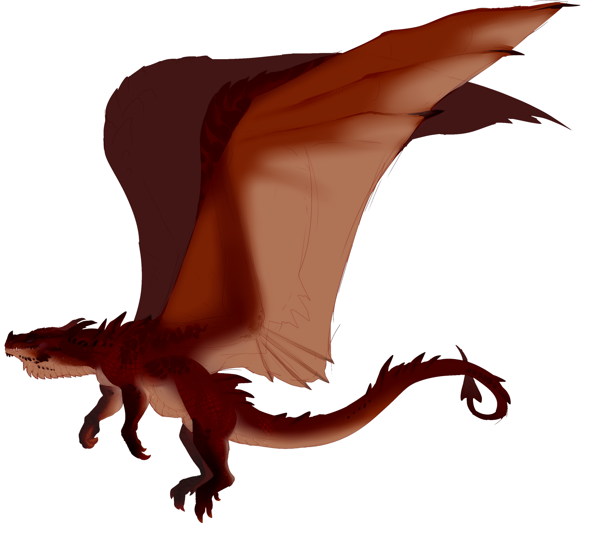 Ryloth Runescape Roleplay Wiki Fandom Powered By Wikia