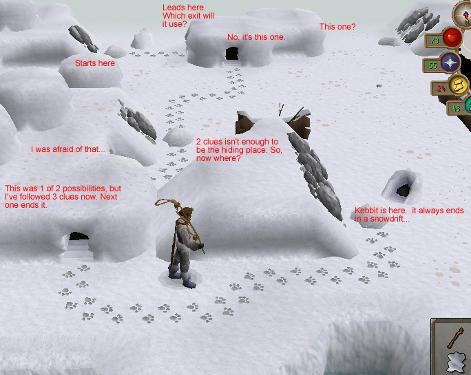 Polar Kebbit | RuneScape Wiki | Fandom powered by Wikia