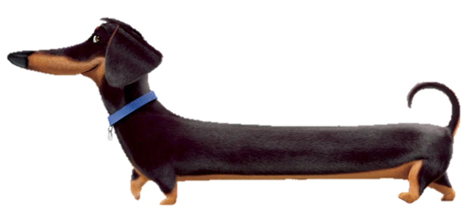 Image - Buddy dog.png | The Secret Life of Pets Wiki | FANDOM powered ...