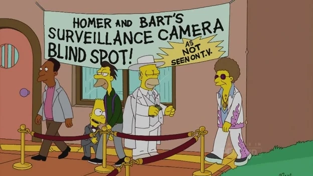 Homer and Bart's Surveillance Camera Blind Spot | Simpsons Wiki ...