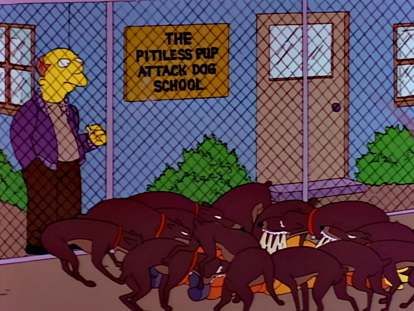 Pitiless Pup Attack Dog School | Simpsons Wiki | FANDOM powered by Wikia