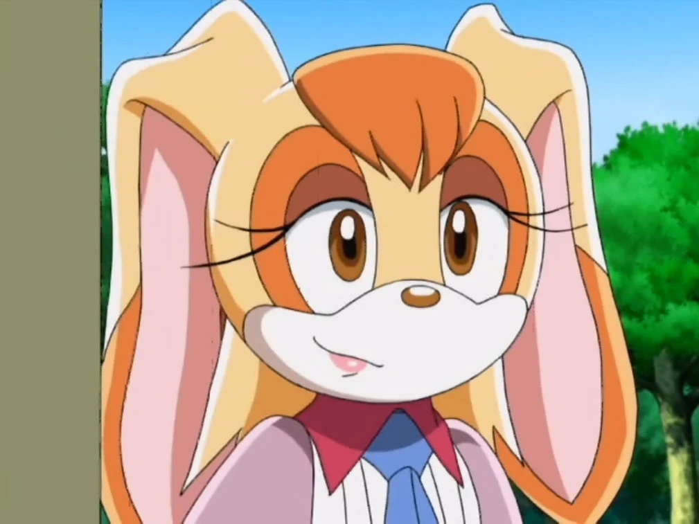 Image - VanillaSonicXScreenshot.JPG | Sonic News Network | Fandom ...