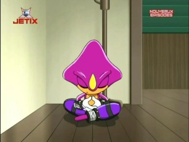 Datei:Espio meditating.jpg | SonicWiki | Fandom powered by Wikia