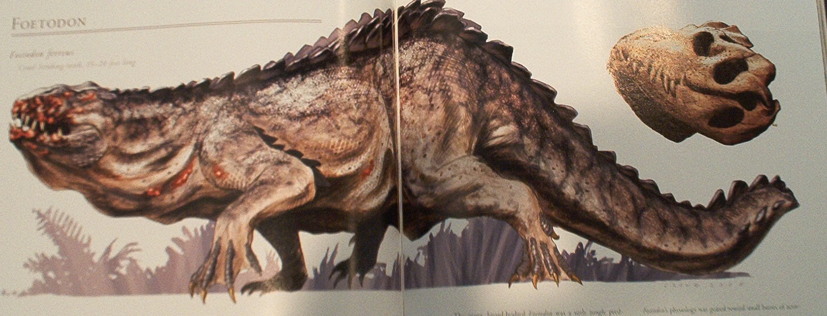 Foetodon | Speculative Evolution Wiki | FANDOM powered by Wikia