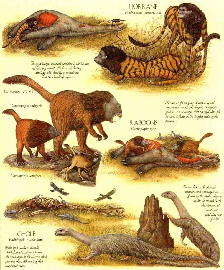 Image - After man meat eaters 760w.jpg | Speculative Evolution Wiki ...