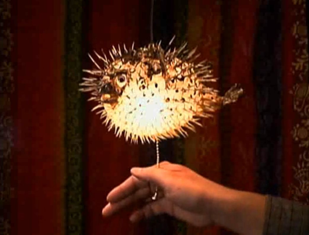 Mr Puff Spongebob Wiki FANDOM Powered By Wikia mr-puff-spongebob-wiki-fandom-powered-by-wikia