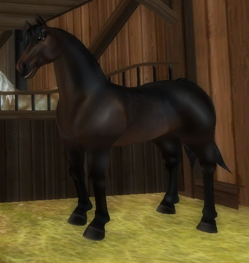Morgan | Star Stable Wiki | Fandom powered by Wikia