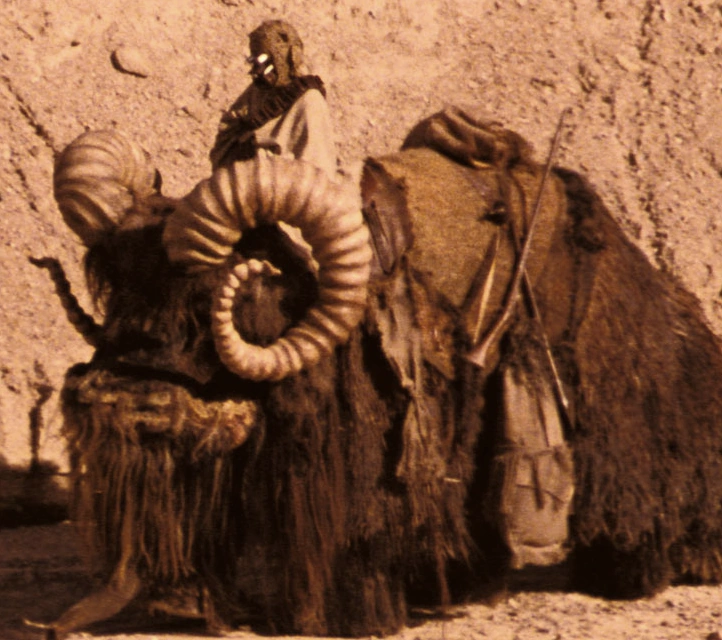 Bantha | Wookieepedia | FANDOM powered by Wikia