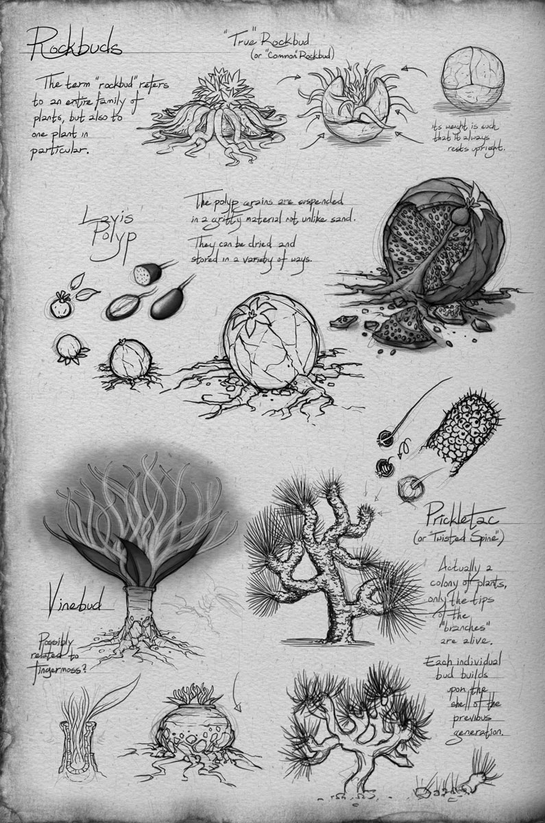 Rockbud Stormlight Archive Wiki Fandom Powered By Wikia