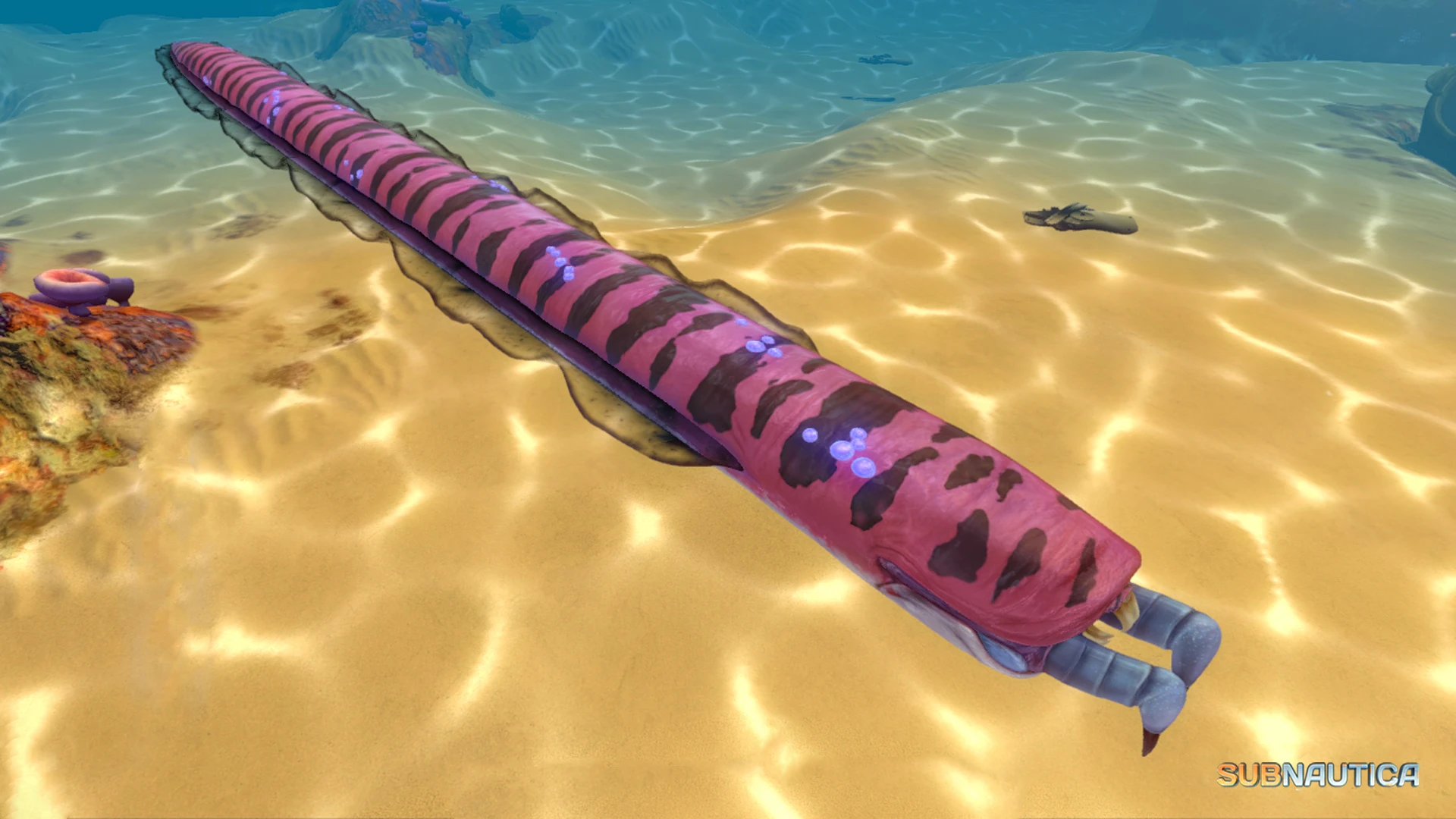 Image - Crab snake in game.jpg | Subnautica Wiki | FANDOM powered by Wikia