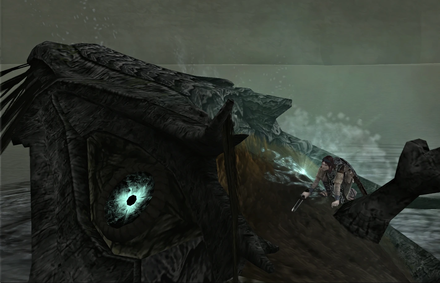 Shadow Of The Colossus Hydrus Shadow Of The Colossus Hydrus By Timid