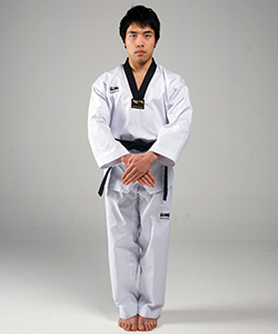 Taekwondo Ready Stance