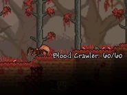 Blood Crawler | Terraria Wiki | Fandom powered by Wikia