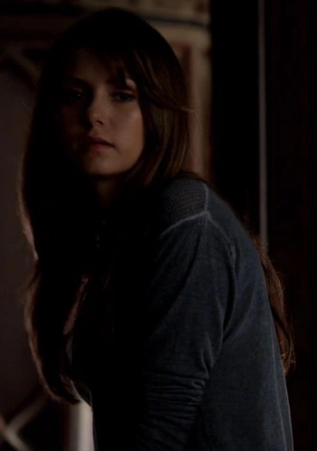 Elena Gilbert The Vampr Vampire Diaries Wikia Fandom