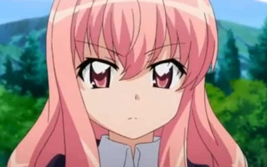 Image Louise Profile 4png The Familiar Of Zero Wiki Fandom Powered By Wikia