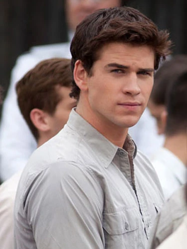 Gale Hawthorne district 12