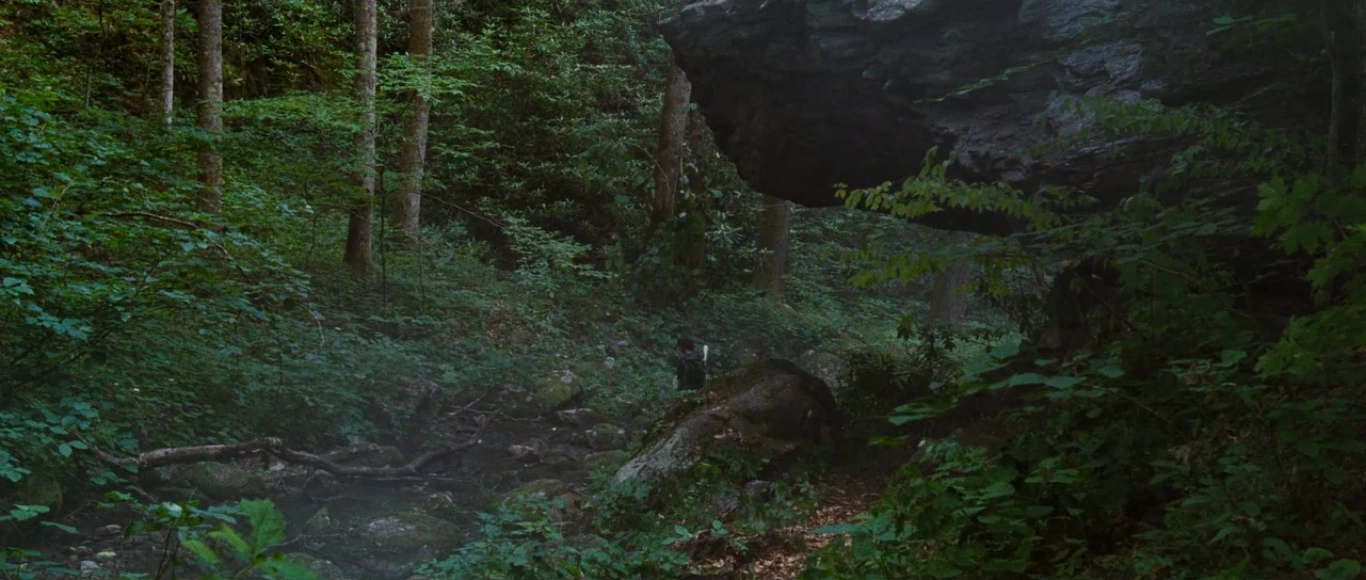 Arena | Wiki The Hunger Games | Fandom powered by Wikia