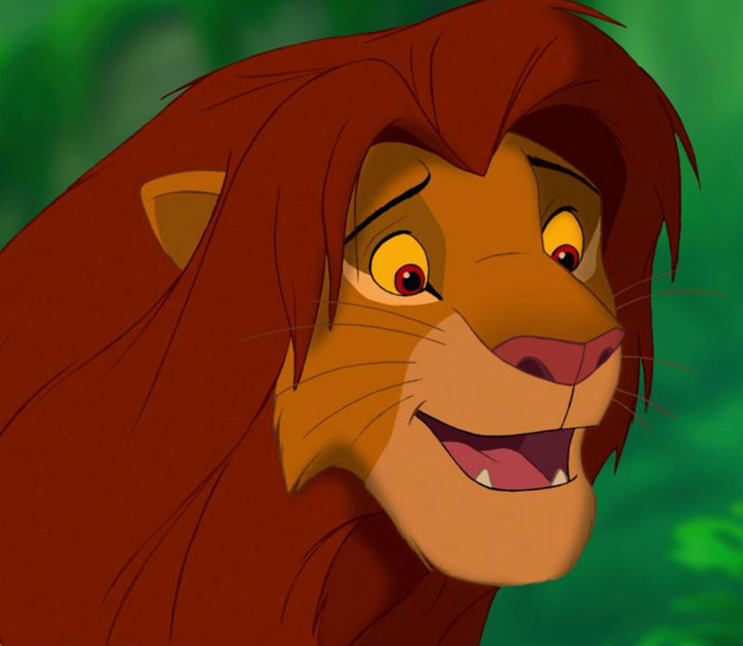 Simba The Lion Kings Timon And Pumbaa Wiki Fandom Powered By Wikia