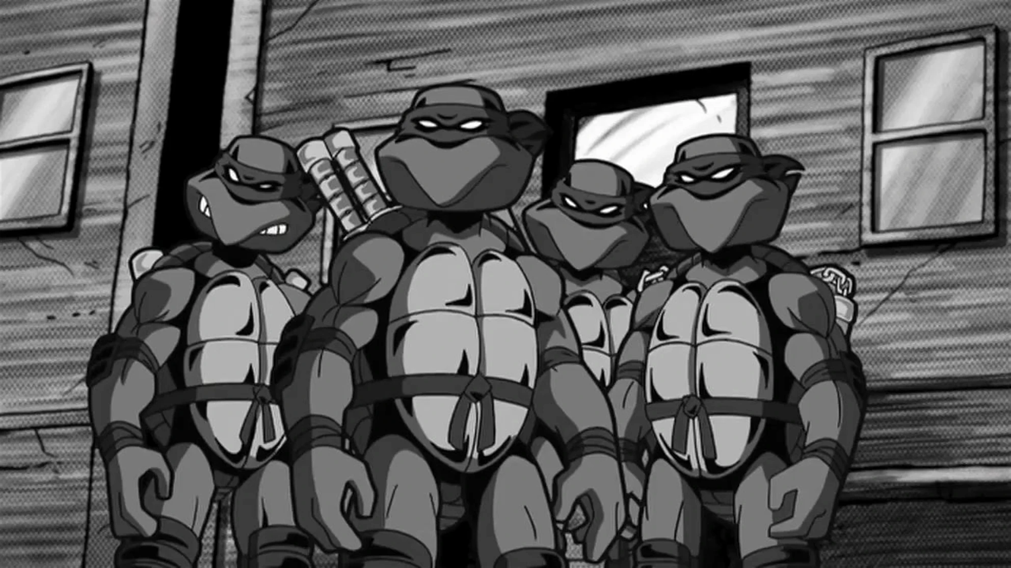 Ninja Turtles (Mirage) | TMNTPedia | FANDOM powered by Wikia