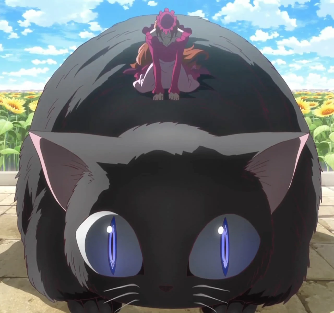 Toriko Zebra Pet