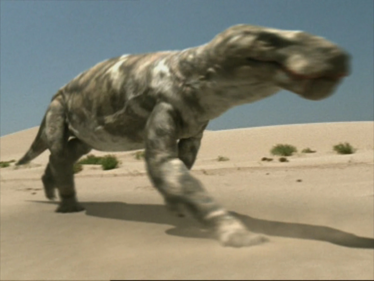Gorgonopsid Walking With Monsters 7 Animals That Lived Before The