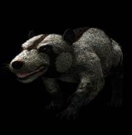 Didelphodon | Walking With Wikis | Fandom powered by Wikia