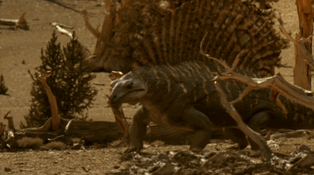 Edaphosaurus Walking With Wiki Fandom Powered By Wikia