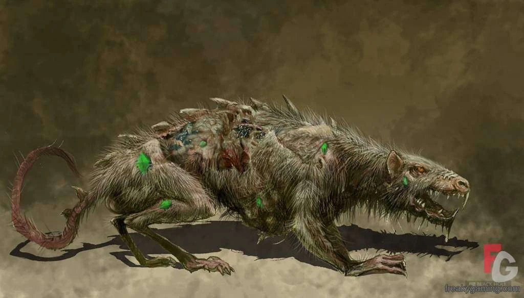 Image - Skaven giant rat.jpg | Warhammer Wiki | FANDOM powered by Wikia