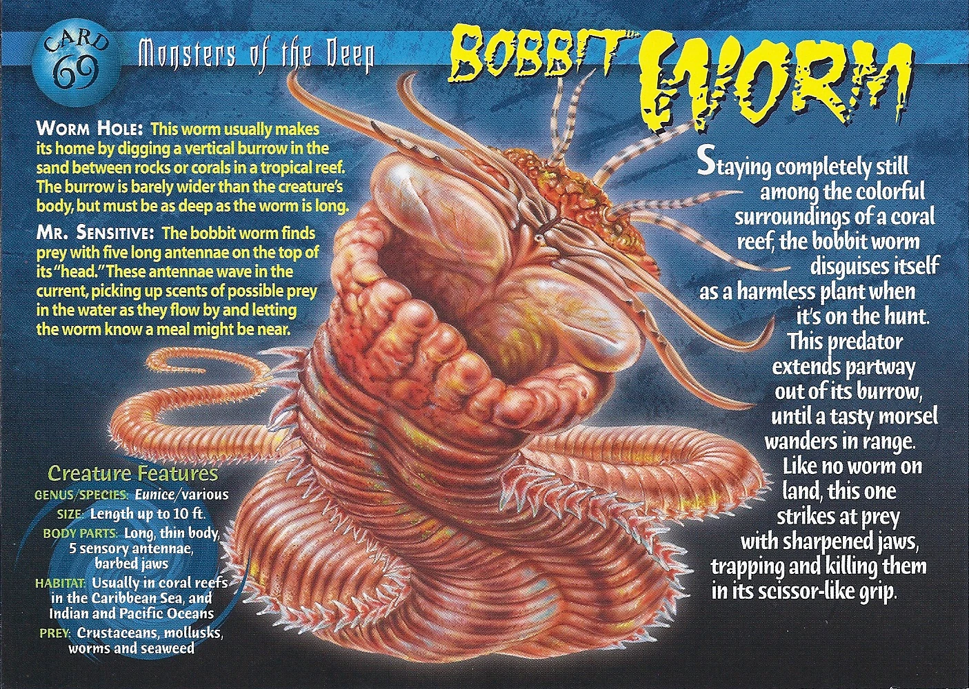 Bobbit Worm | Wierd N'wild Creatures Wiki | FANDOM powered by Wikia