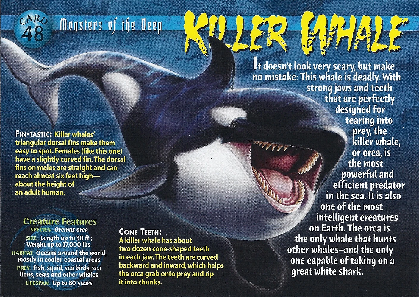 Killer Whale | Wierd N'wild Creatures Wiki | FANDOM powered by Wikia