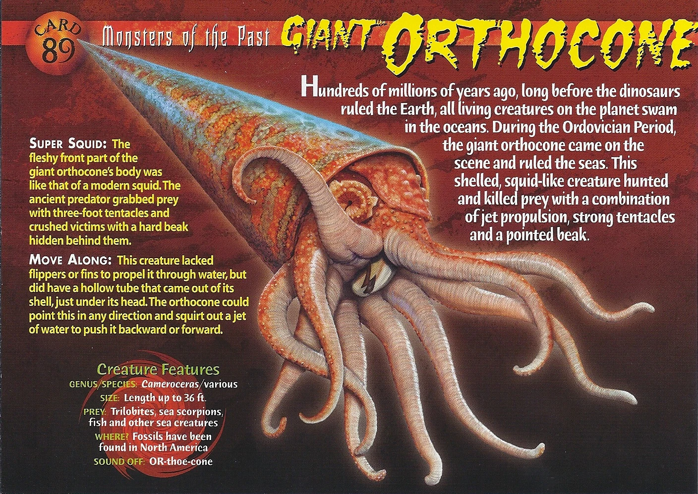 Giant Orthocone | Wierd N'wild Creatures Wiki | FANDOM powered by Wikia
