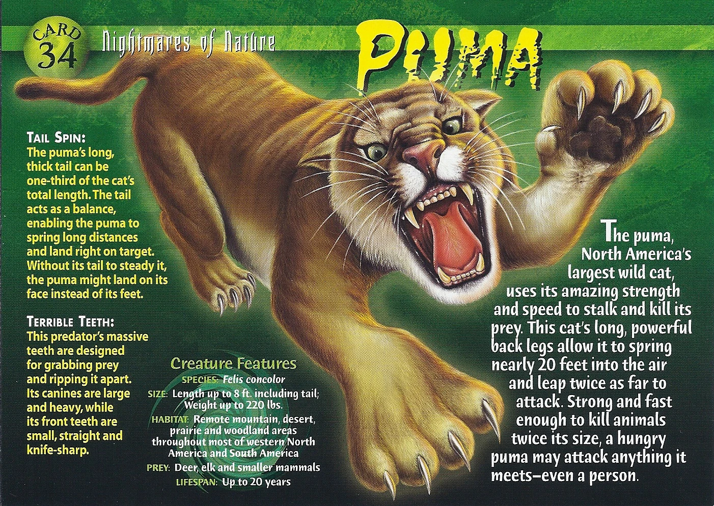 Puma | Wierd N'wild Creatures Wiki | FANDOM powered by Wikia