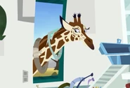 Neck and Neck | Wild Kratts Wiki | Fandom powered by Wikia