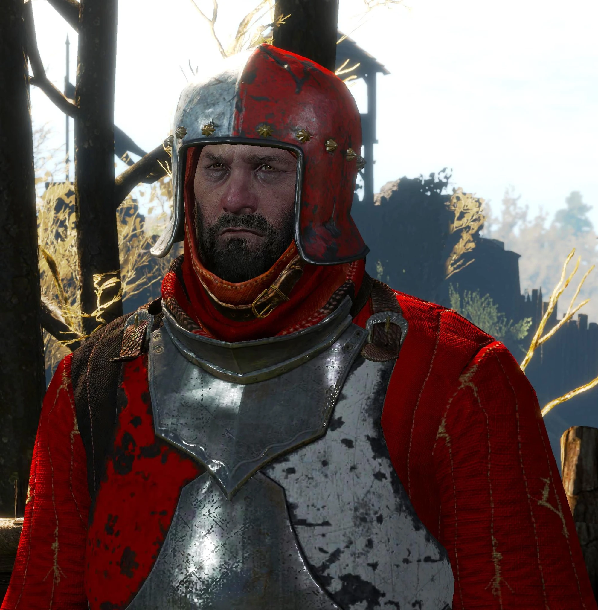 The Witcher 3: Wild Hunt Redanian Soldier Minecraft Skin