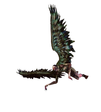 Harpy | Witcher Wiki | Fandom powered by Wikia