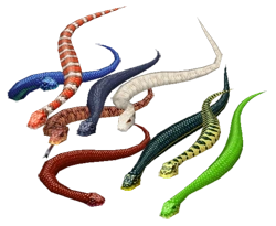 Snake | WoWWiki | Fandom powered by Wikia