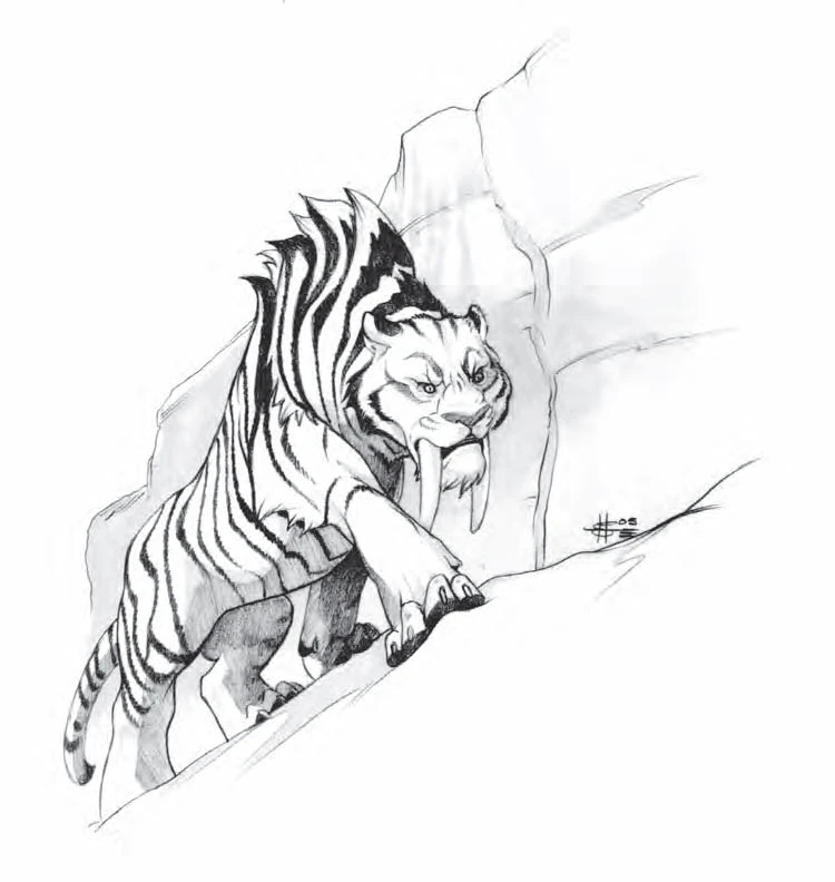 Saber cat | WoWWiki | Fandom powered by Wikia