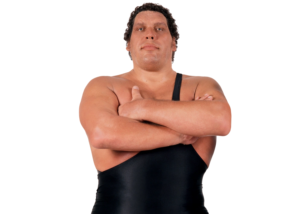 Image - Andre The Giant pro.png | WWE 2Ks | FANDOM powered by Wikia