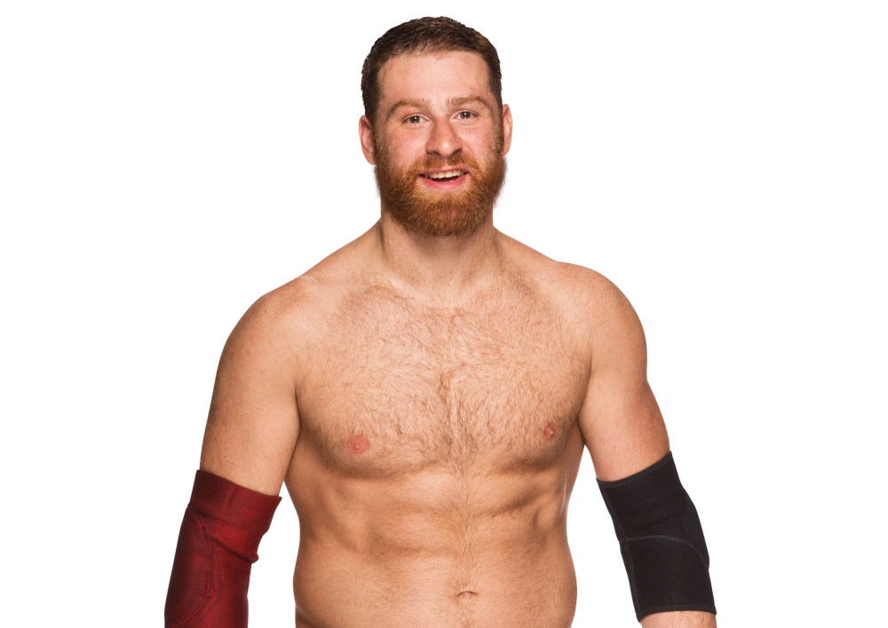 Image - Sami Zayn .png | WWE Wiki | Fandom powered by Wikia