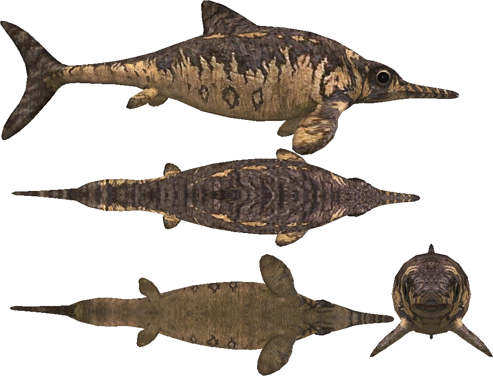 Ophthalmosaurus Skeleton