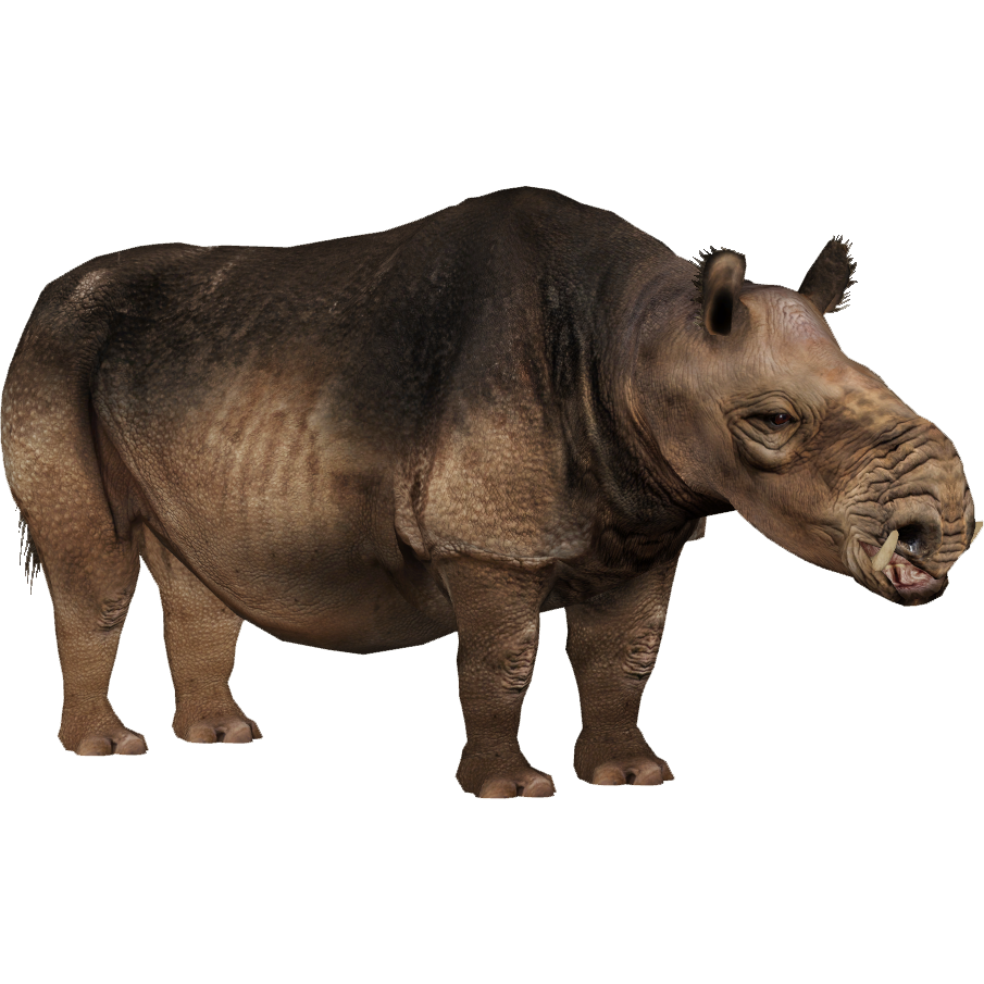 Category:Extinct Odd-toed Ungulates | ZT2 Download Library Wiki ... Category:Extinct Odd-toed Ungulates | ZT2 Download Library Wiki ...